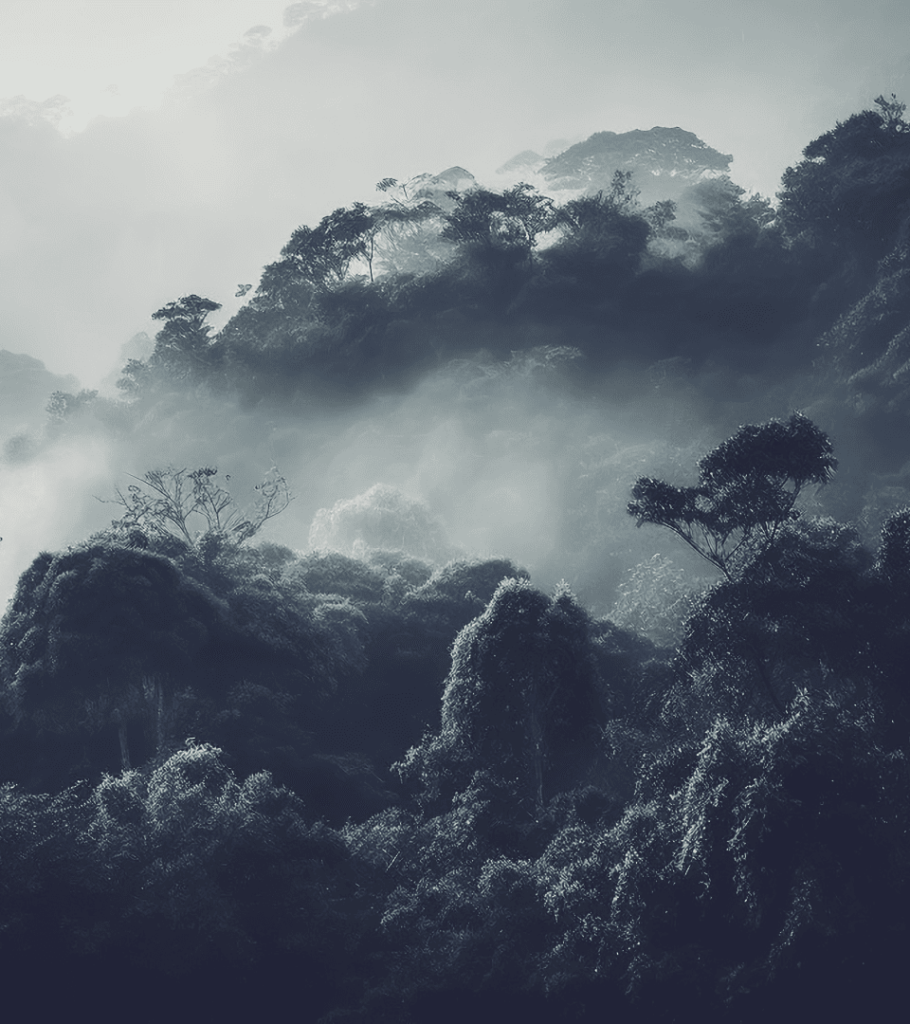 Climate Resilience - Evora Global Limited