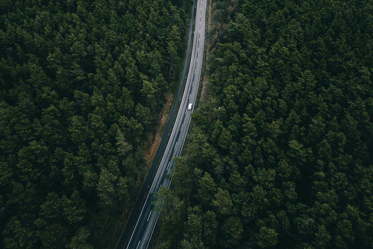 GRESB 2025: A Closer Look at Future Trends - Evora Global Limited